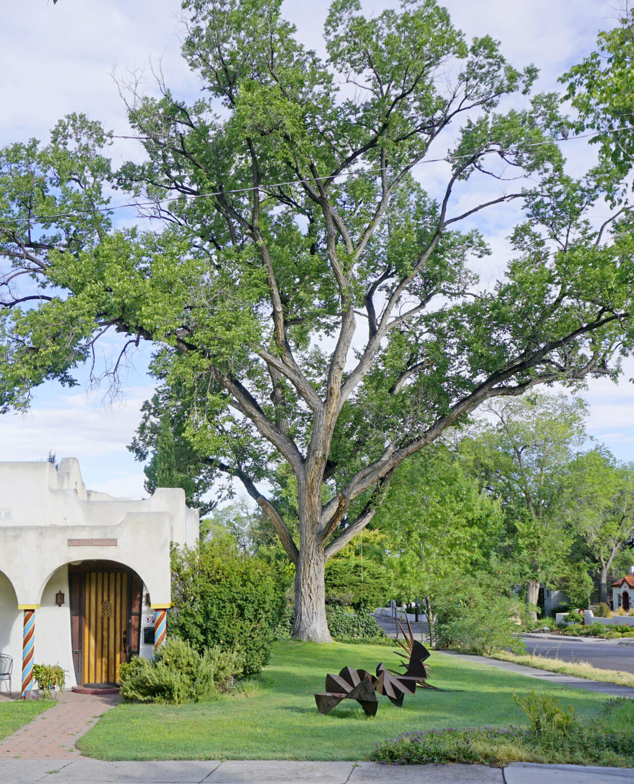 Get to Know Our Neighborhood | Spruce Park | ABQ NM